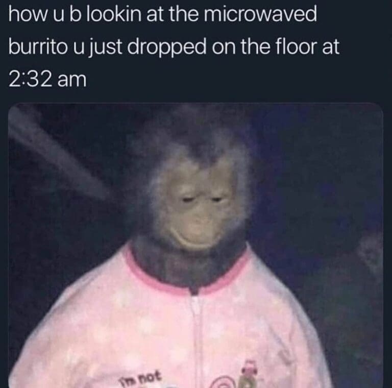 Burrito Memes: 30 Memes For Burrito Lovers Everywhere