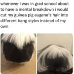 36 Memes That Perfectly Capture the Regret of Cutting Your Own Bangs