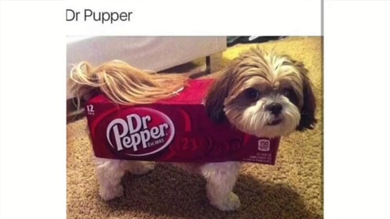 Dr Pepper Meme Dump: 30 Memes for America's New #2 Soda