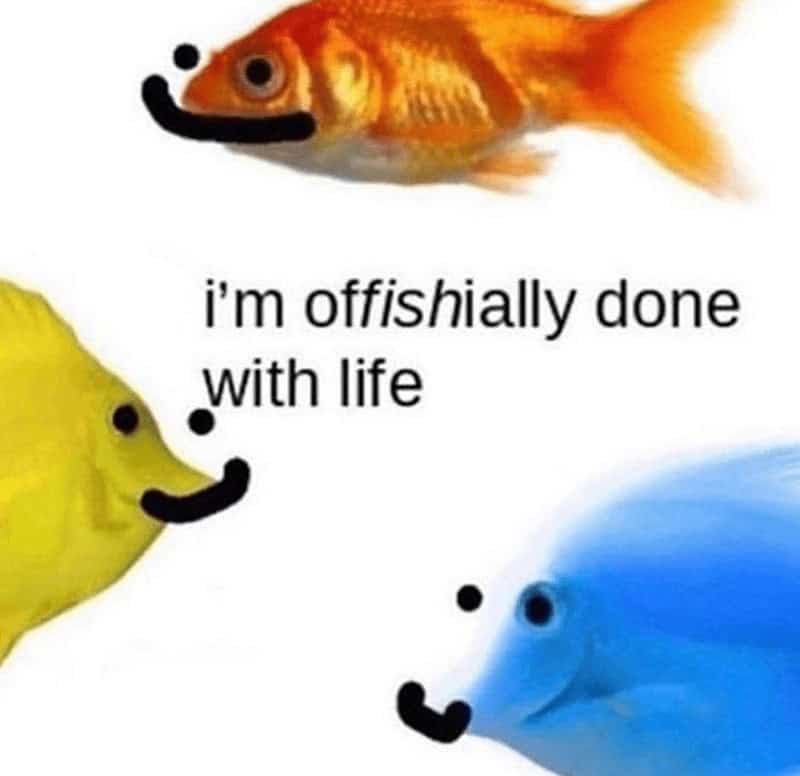 fishing memes-23-20240627 - Thunder Dungeon | The Funniest Memes. Period.