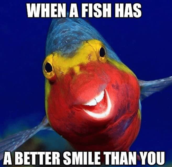 fishing memes-40-20240627 - Thunder Dungeon | The Funniest Memes. Period.