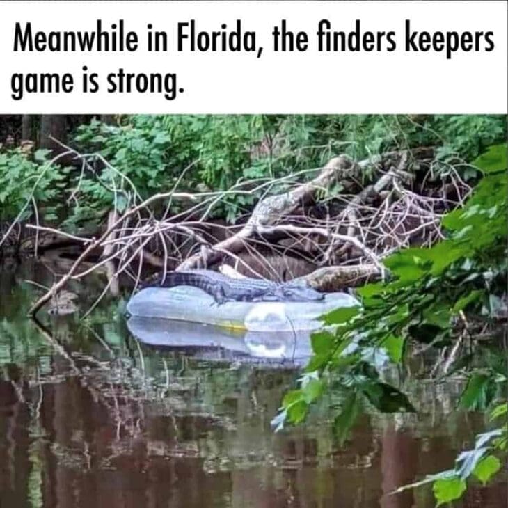 40 Funny Florida Memes That Perfectly Capture Life in the Sunshine State