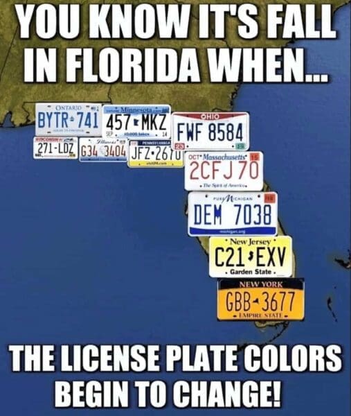 40 Funny Florida Memes That Perfectly Capture Life in the Sunshine State