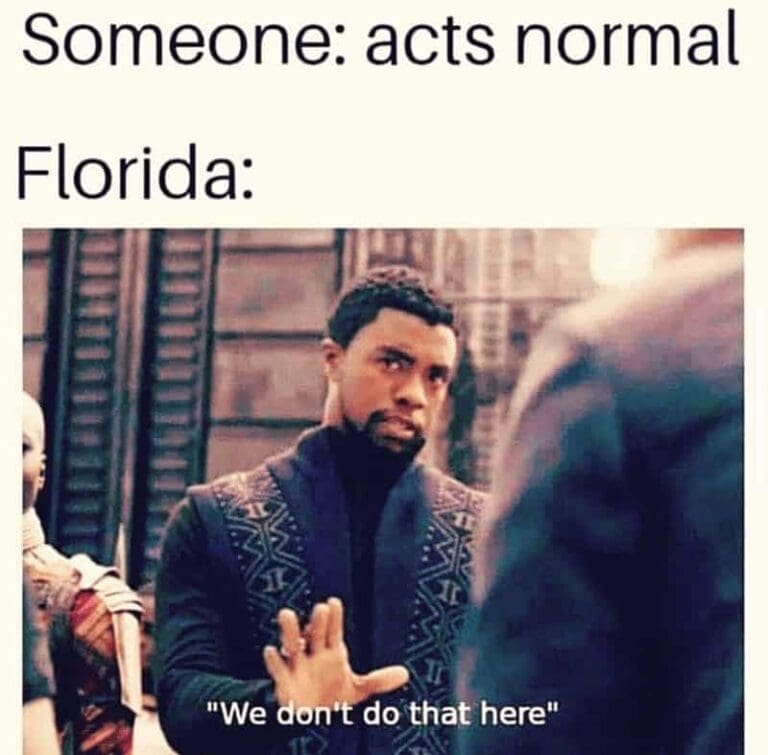 40 Funny Florida Memes That Perfectly Capture Life in the Sunshine State