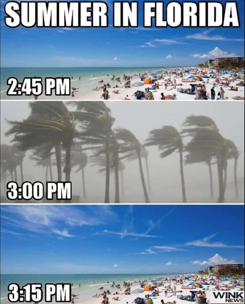 florida memes-36-6-24-2024 - Thunder Dungeon | The Funniest Memes. Period.