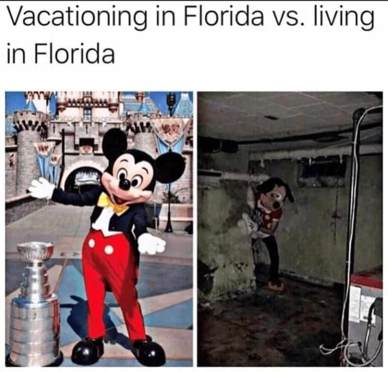 40 Funny Florida Memes That Perfectly Capture Life in the Sunshine State
