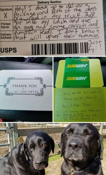 35 Hilariously Awkward Apology Notes I Would Definitely Forgive