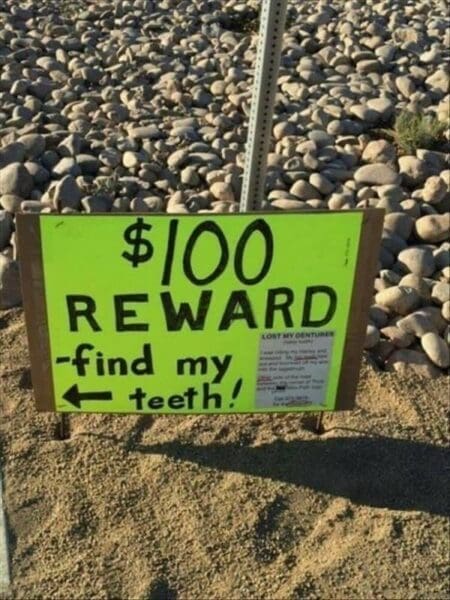 Funny Signs: 35 Bizarre Signs Spotted in the Wild