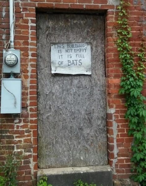 Funny Signs: 35 Bizarre Signs Spotted in the Wild