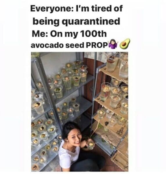Gardening Memes: 40 Memes Every Plant Lover Will Enjoy