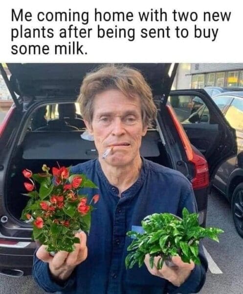 Gardening Memes: 40 Memes Every Plant Lover Will Enjoy