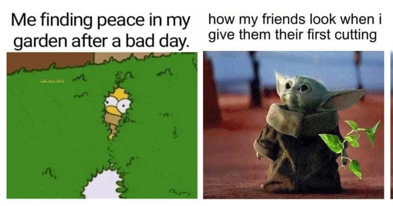 Gardening Memes: 40 Memes Every Plant Lover Will Enjoy