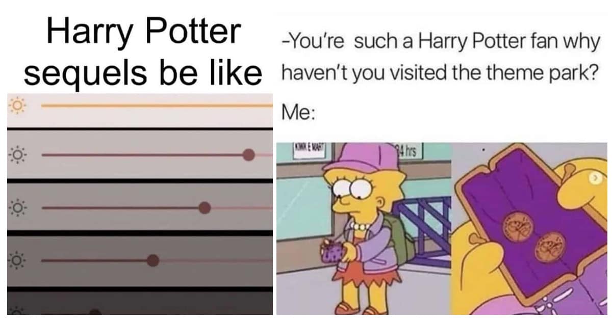 Harry Potter Memes: 25 Gems From The Potterverse