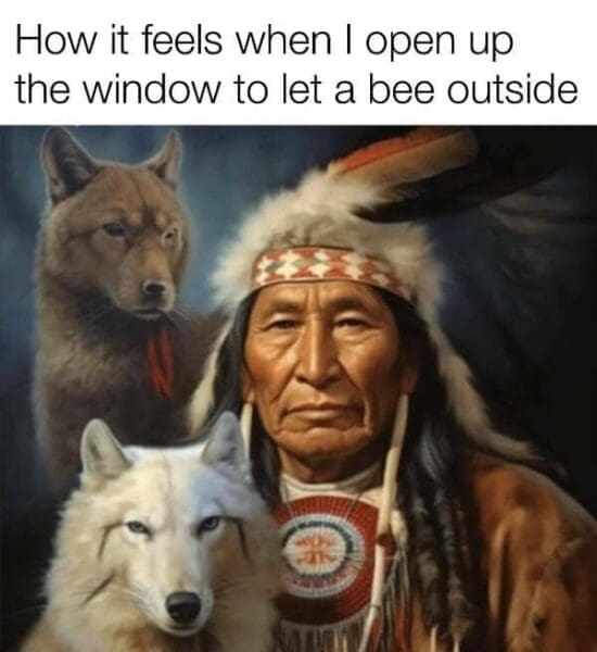 40 Hilarious Honest Memes That Are So True It Hurts