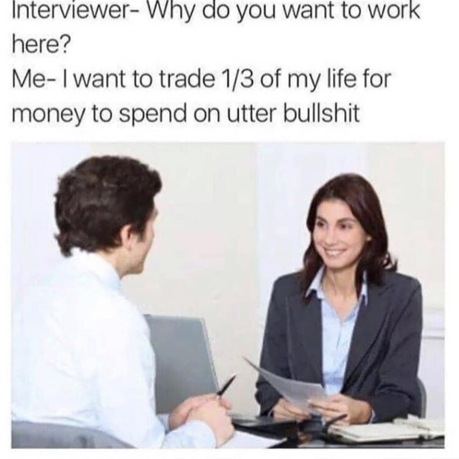 job interview memes-15-6-26-2024 - Thunder Dungeon | The Funniest Memes ...