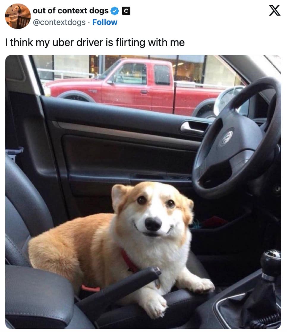 pet memes-17-20240614 - Thunder Dungeon | The Funniest Memes. Period.