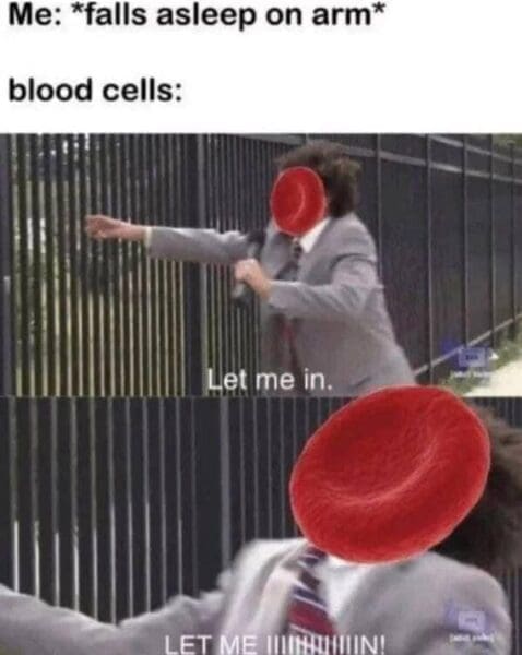 45 Smart Memes You Might Need a PhD to Understand