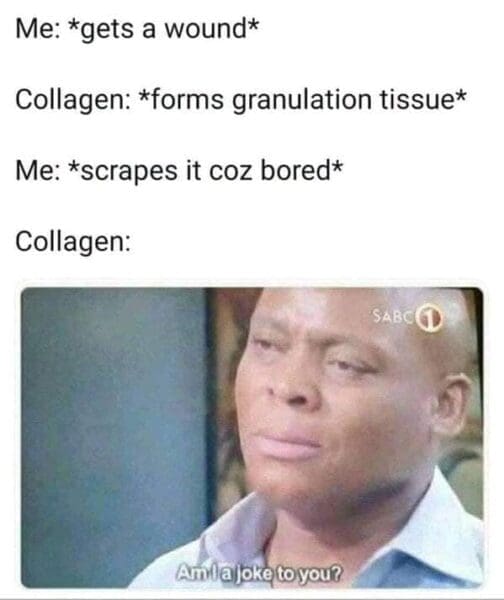 45 Smart Memes You Might Need a PhD to Understand