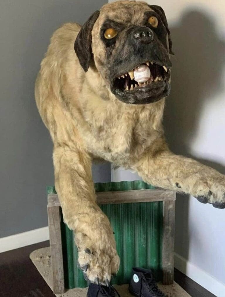 Stuff Your Nightmares: 38 Taxidermy Fails That Are More Horror Than Hobby