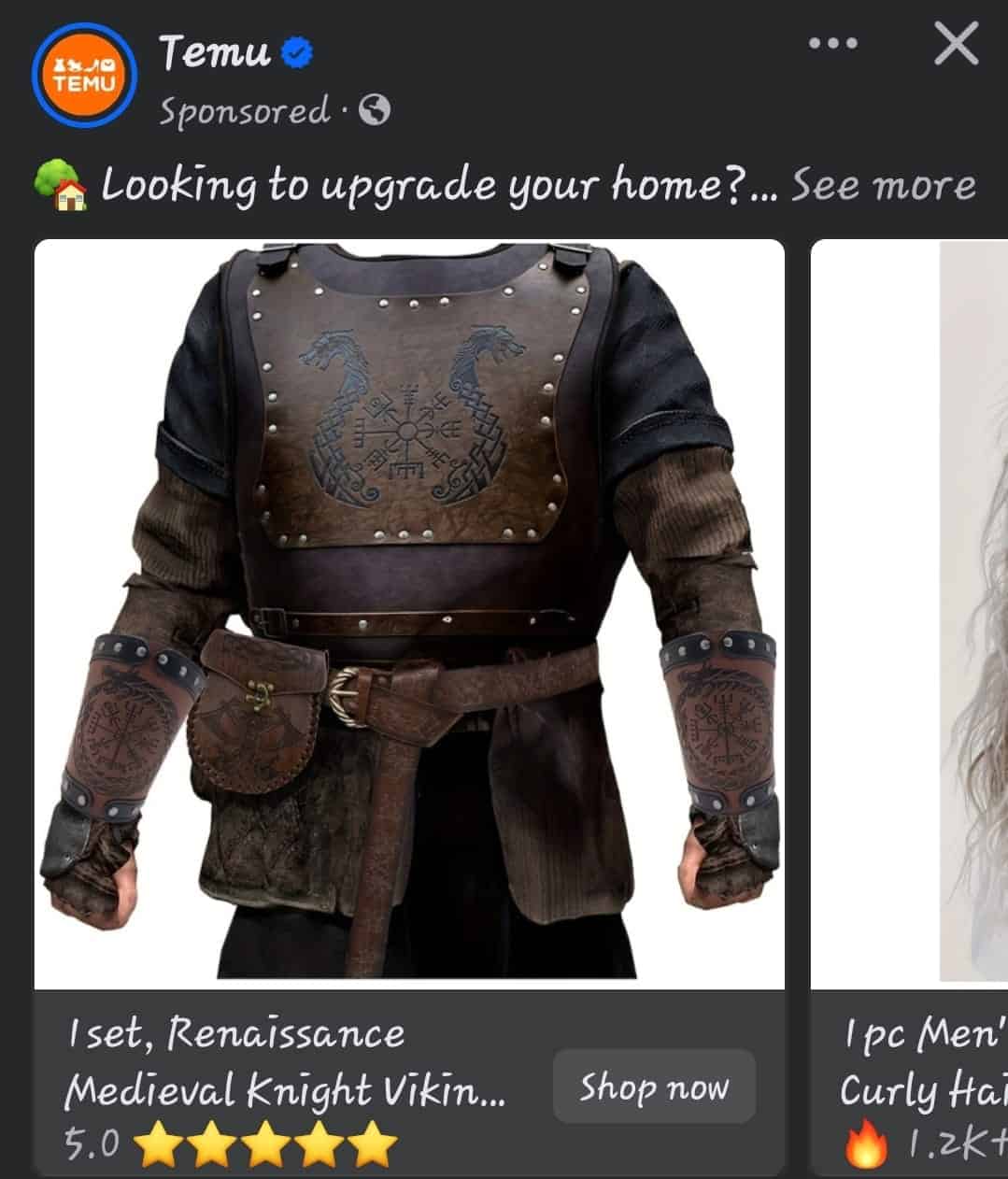 temu memes-10-20240623 - Thunder Dungeon | The Funniest Memes. Period.