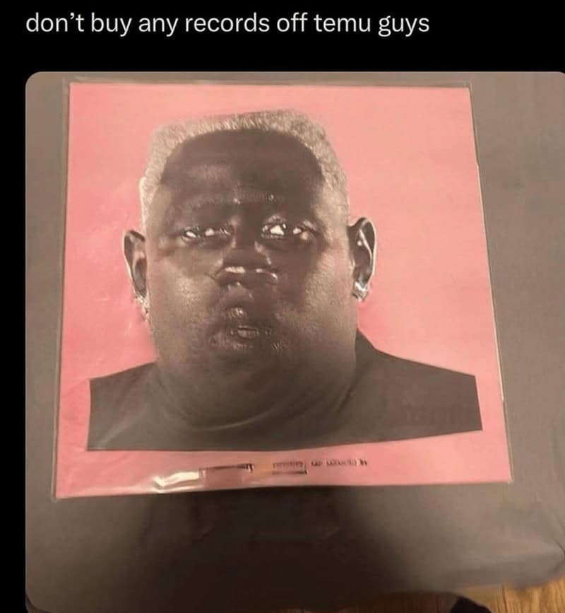 temu memes-15-20240623 - Thunder Dungeon | The Funniest Memes. Period.