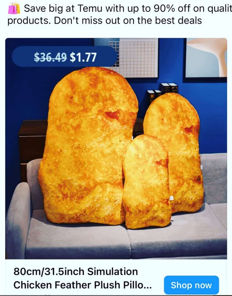 temu memes-16-20240623 - Thunder Dungeon | The Funniest Memes. Period.