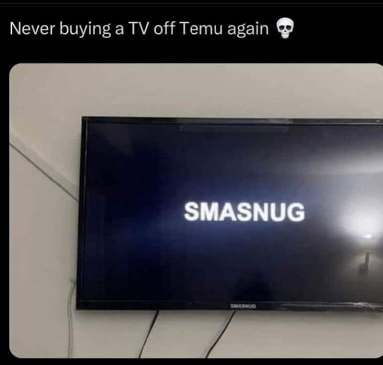 Temu Memes: 35 Gems From The WORST Marketplace