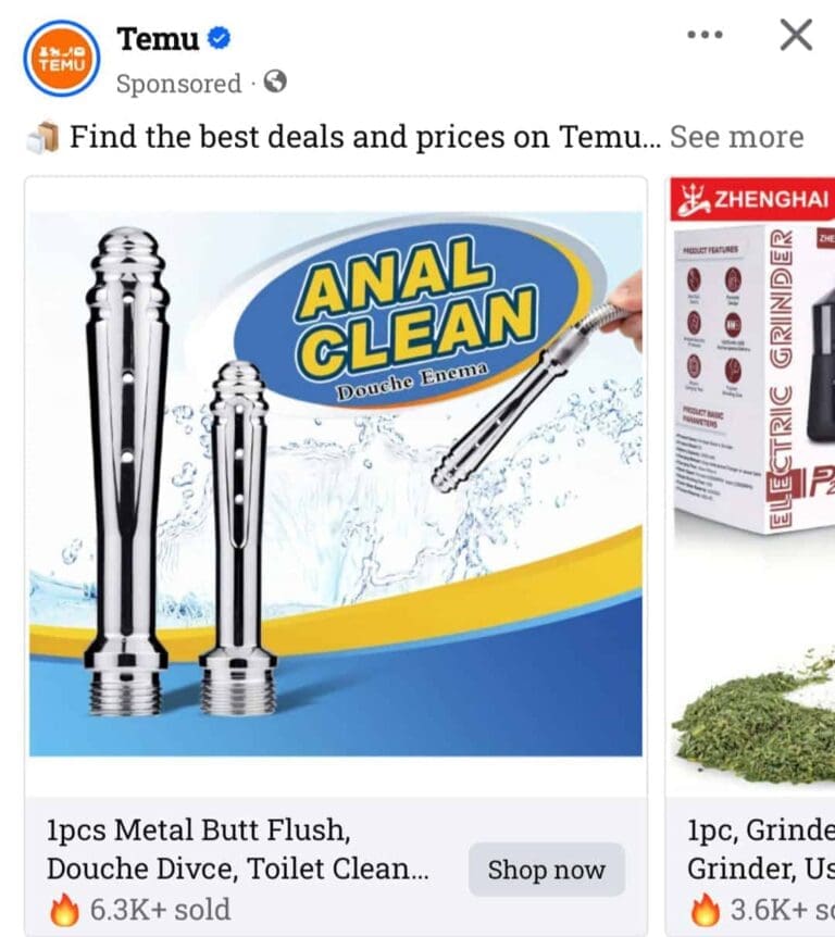 Temu Memes: 35 Gems From The WORST Marketplace