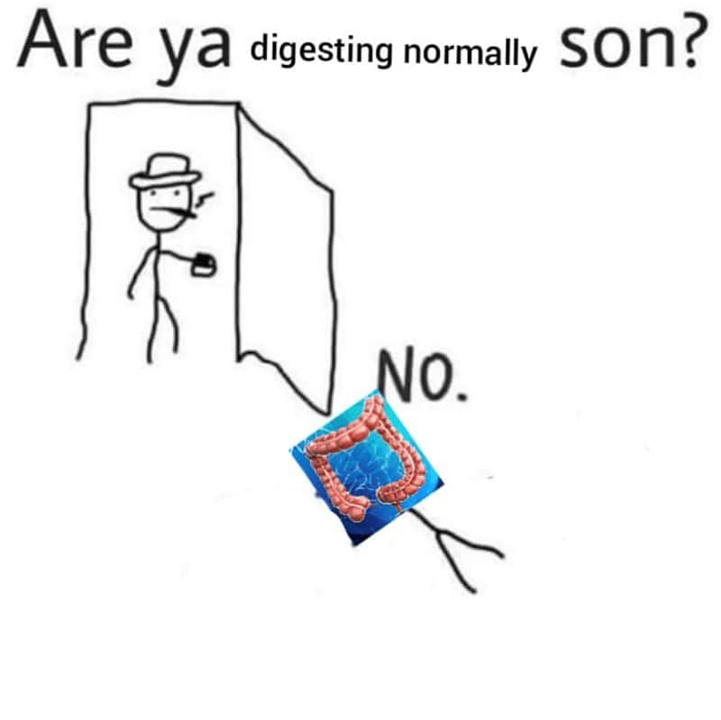 tummy ache memes-7-20240608 - Thunder Dungeon | The Funniest Memes. Period.