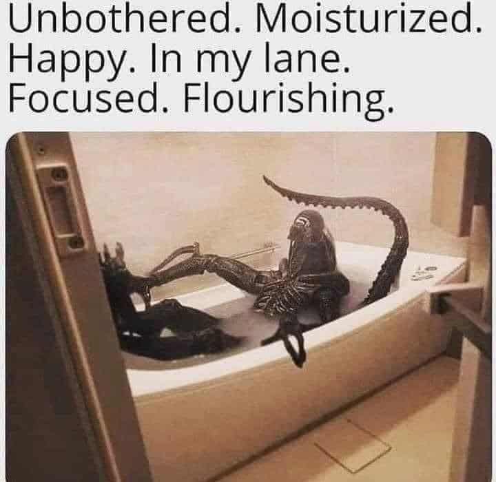 xenomorphs memes-36-6-6-2024 - Thunder Dungeon | The Funniest Memes ...