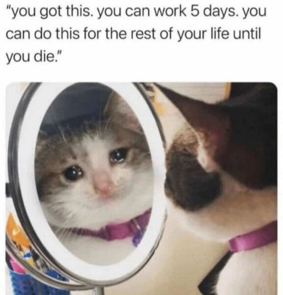 40 Relatable Broke Memes to Help You Through the Empty Pocket Struggle