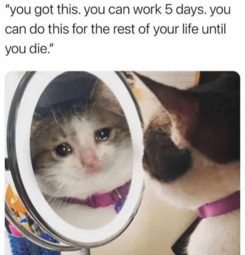 broke memes-10-7-8-2024 - Thunder Dungeon | The Funniest Memes. Period.