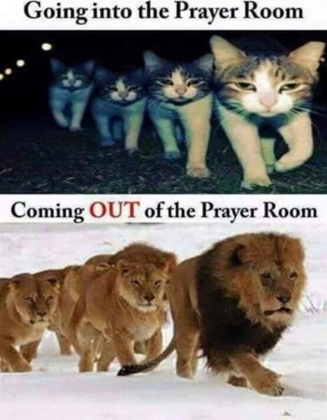 Christian Memes: 40 Hilarious Humor for Bible Thumpers