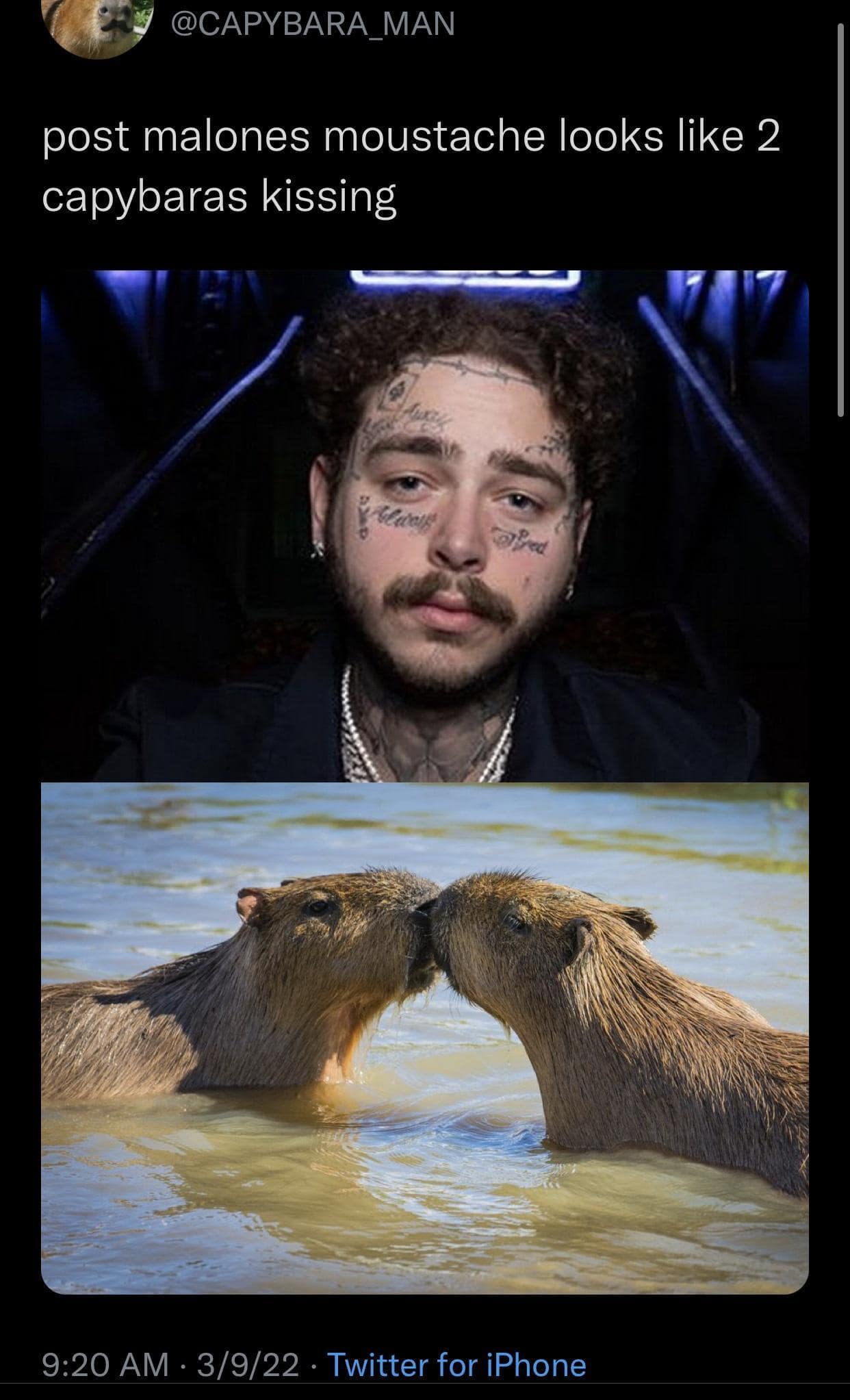 classic memes-16-20240707 - Thunder Dungeon | The Funniest Memes. Period.