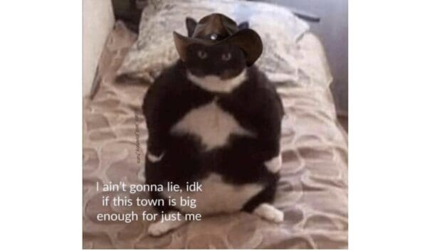 40 Country Memes for Country Folks Who Love Yeehaw Humor