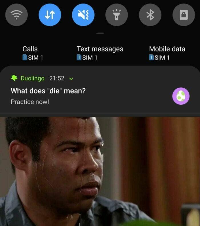 duolingo memes-28-20240707 - Thunder Dungeon | The Funniest Memes. Period.