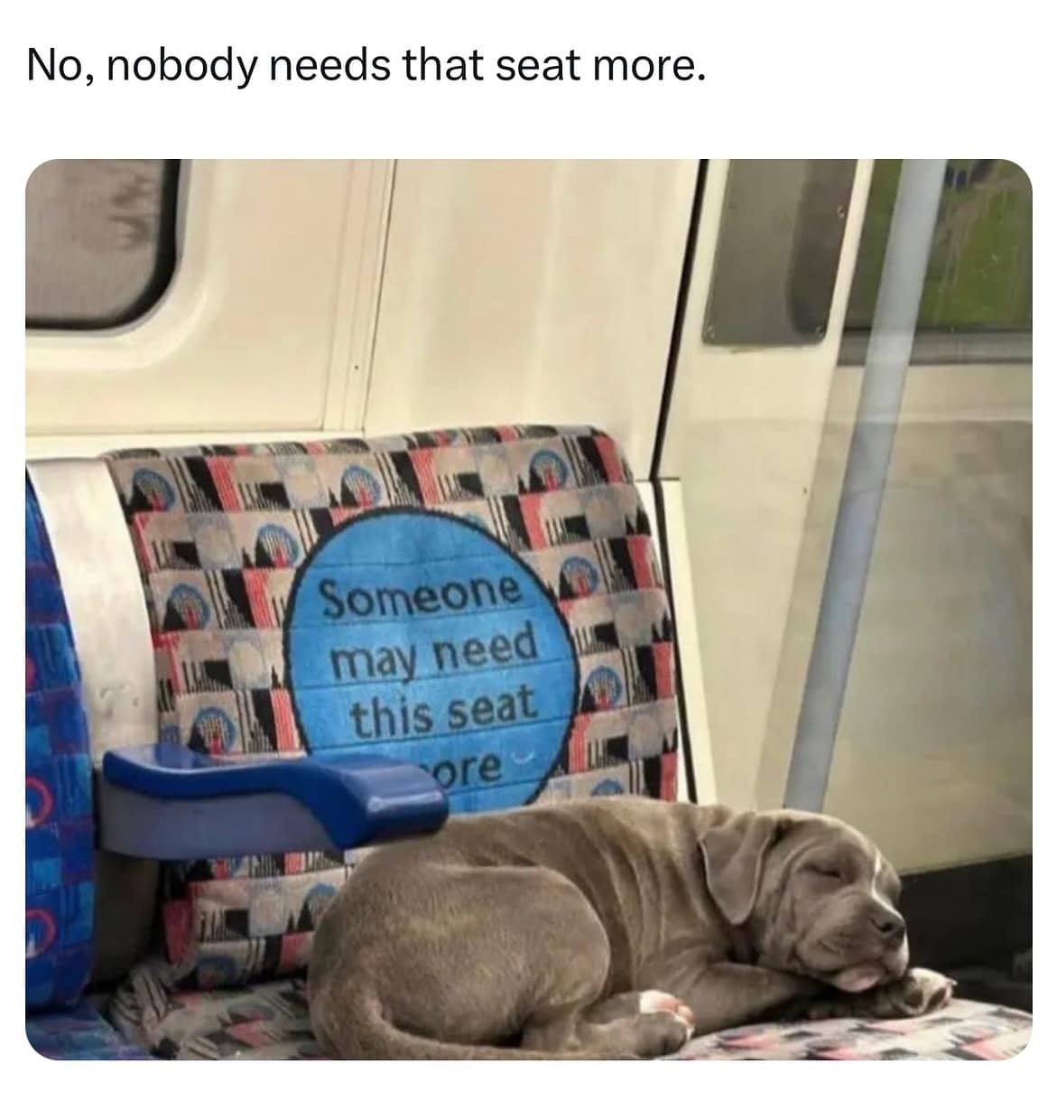 funny memes-22-7-3-2024 - Thunder Dungeon | The Funniest Memes. Period.