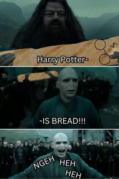 Harry Potter Memes: 40 Memes From The Potterverse