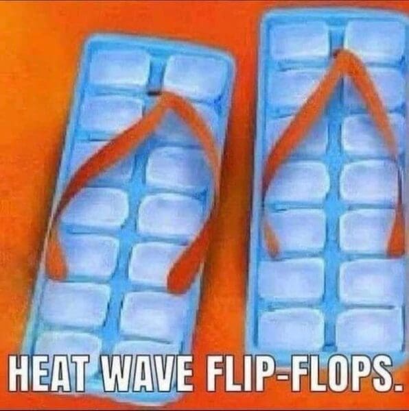 27 Heatwave Memes About the Sweaty Summer Temps That Are Too Real