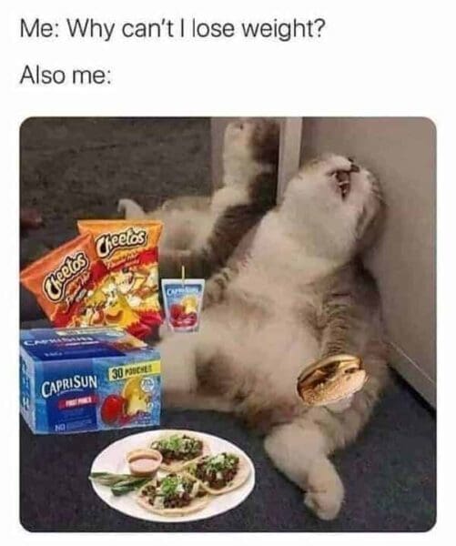 40 Memes About Being a Hot Mess That Every Girl Will Understand