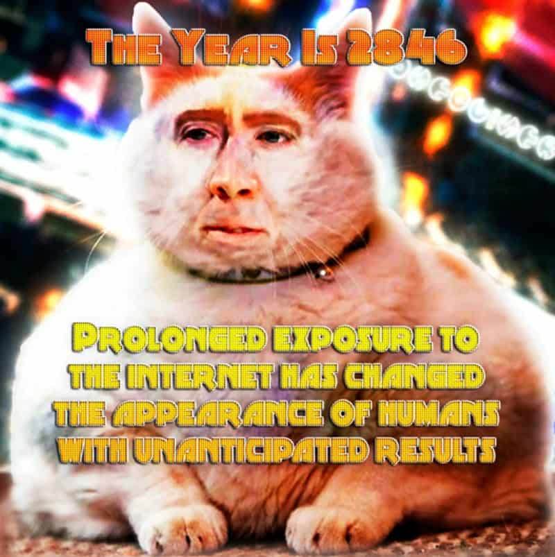 nicholas cage memes-26-7-17-2024 - Thunder Dungeon | The Funniest Memes ...