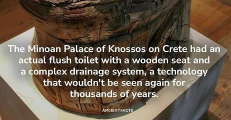 Random Facts: 30 Tidbits That Are Interesting & Useless