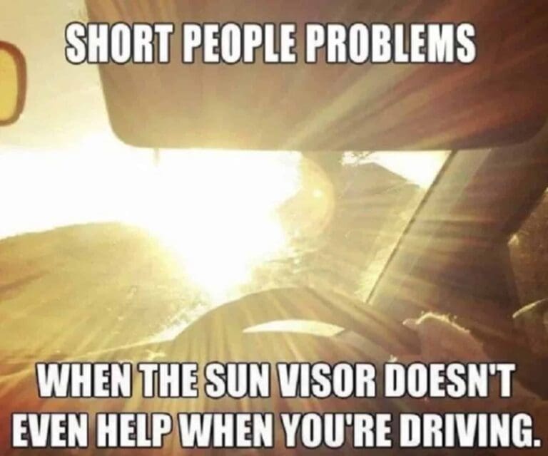 33 Short People Memes That Capture Life from a Lower Perspective