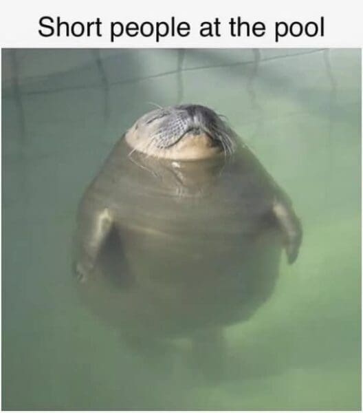 33 Short People Memes That Capture Life from a Lower Perspective