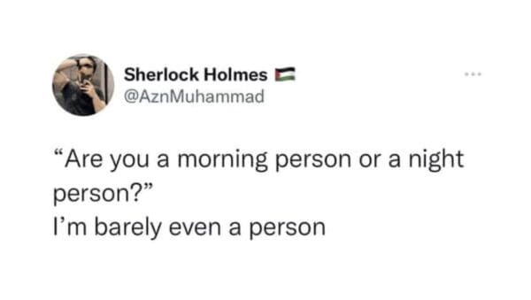 30 Sleep Memes for Bed Lovers Who Refuse to Leave the Comfort of Their ...