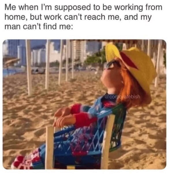 Work From Home Memes: 48 Memes from the Couch