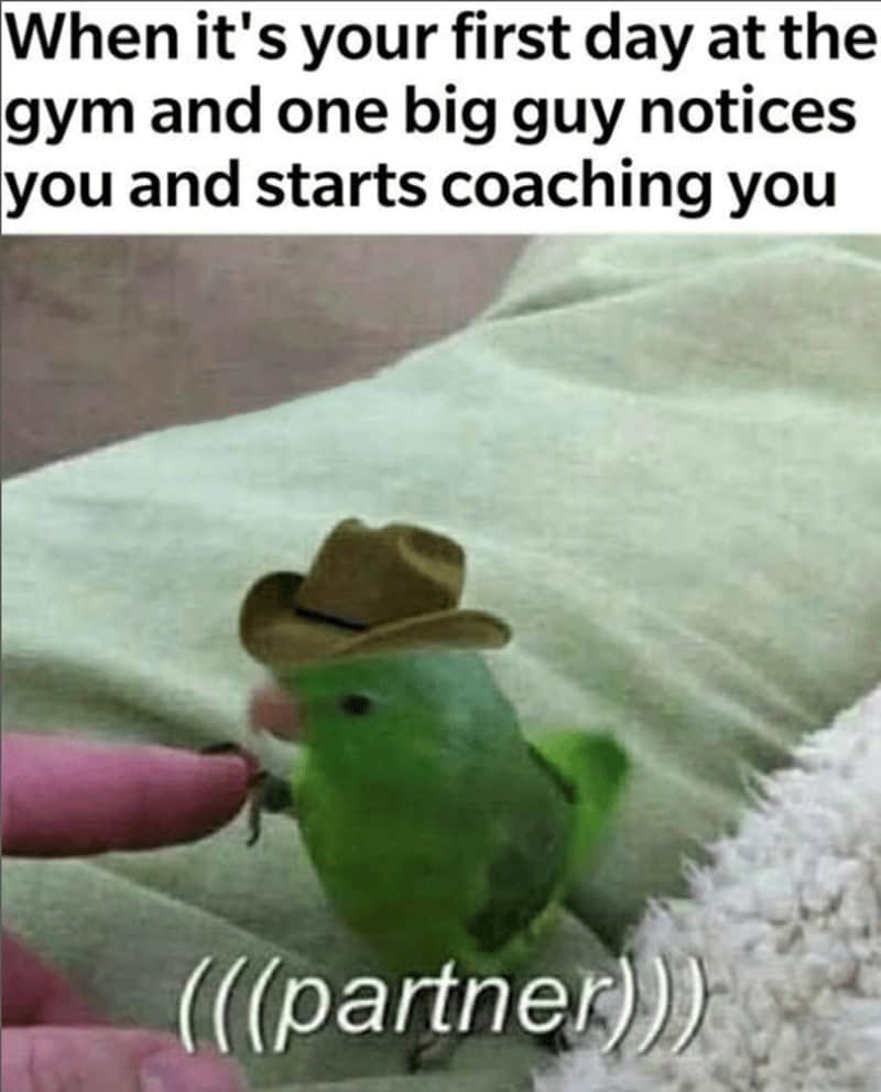 working out memes-37-7-22-2024 - Thunder Dungeon | The Funniest Memes ...