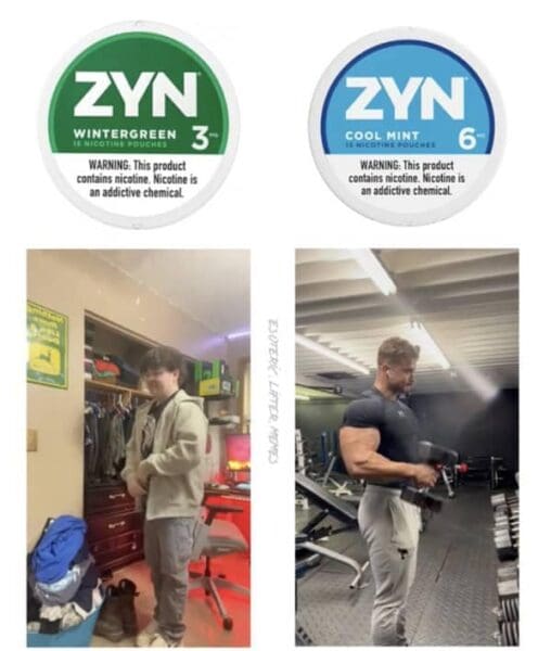 34 Zyn Memes Better Than Your Next Lip Pillow