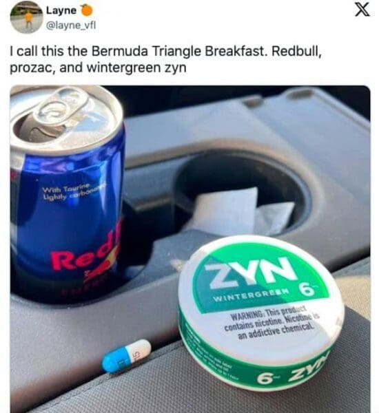 34 Zyn Memes Better Than Your Next Lip Pillow