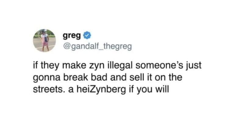 34 Zyn Memes Better Than Your Next Lip Pillow